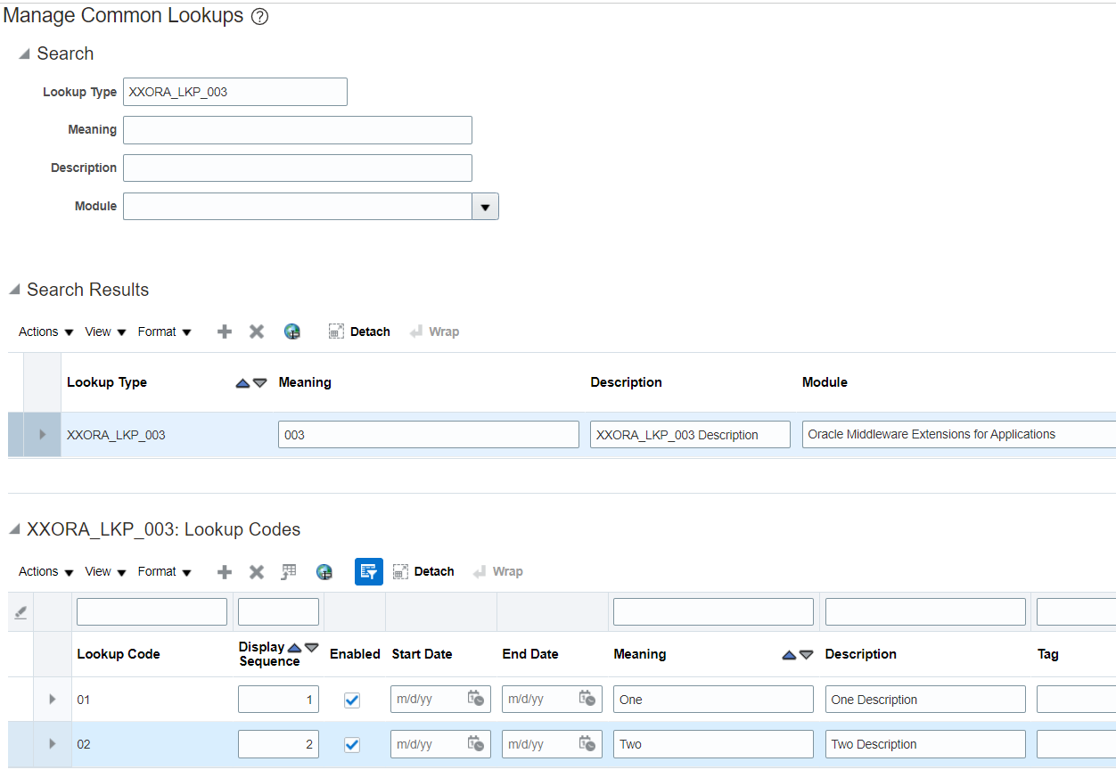 Bulk Upload Lookup Types and Lookup Codes – Oracle Fusion ERP – Tech Trainings